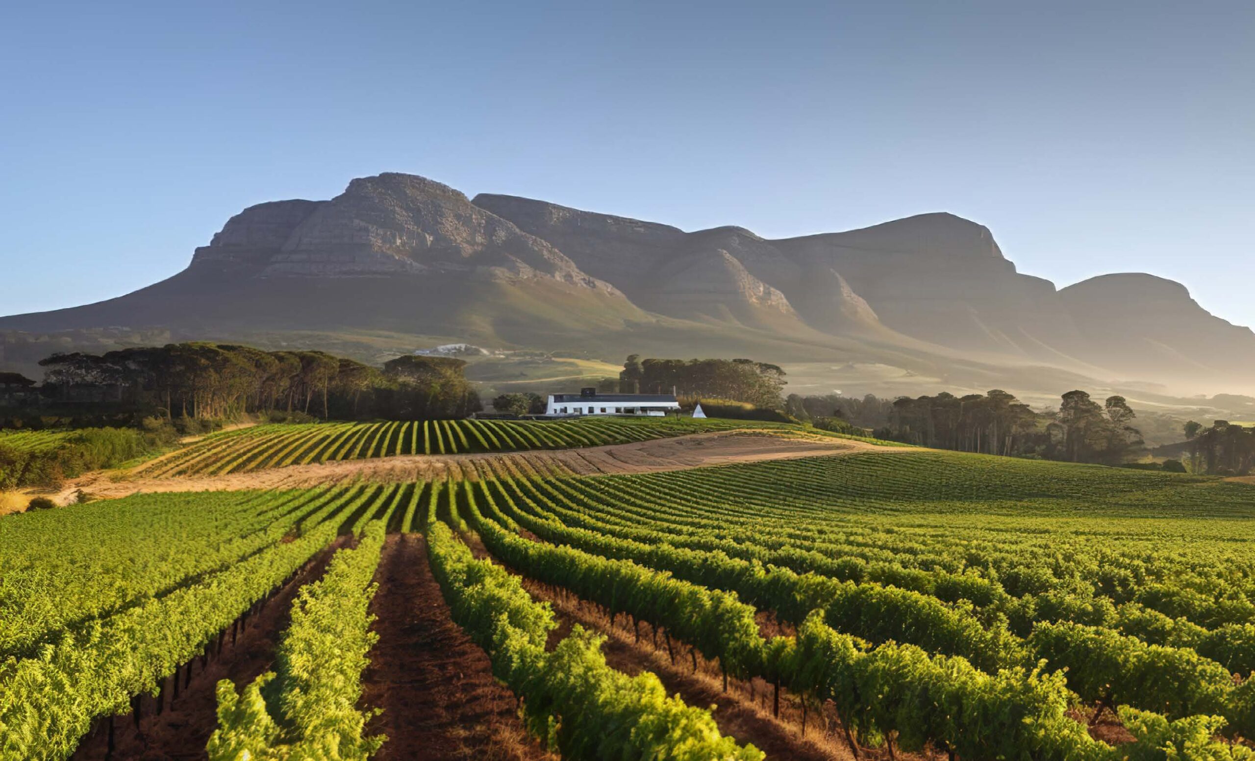 Sassda News - Push to Boost Local Stainless Steel : SASSDA