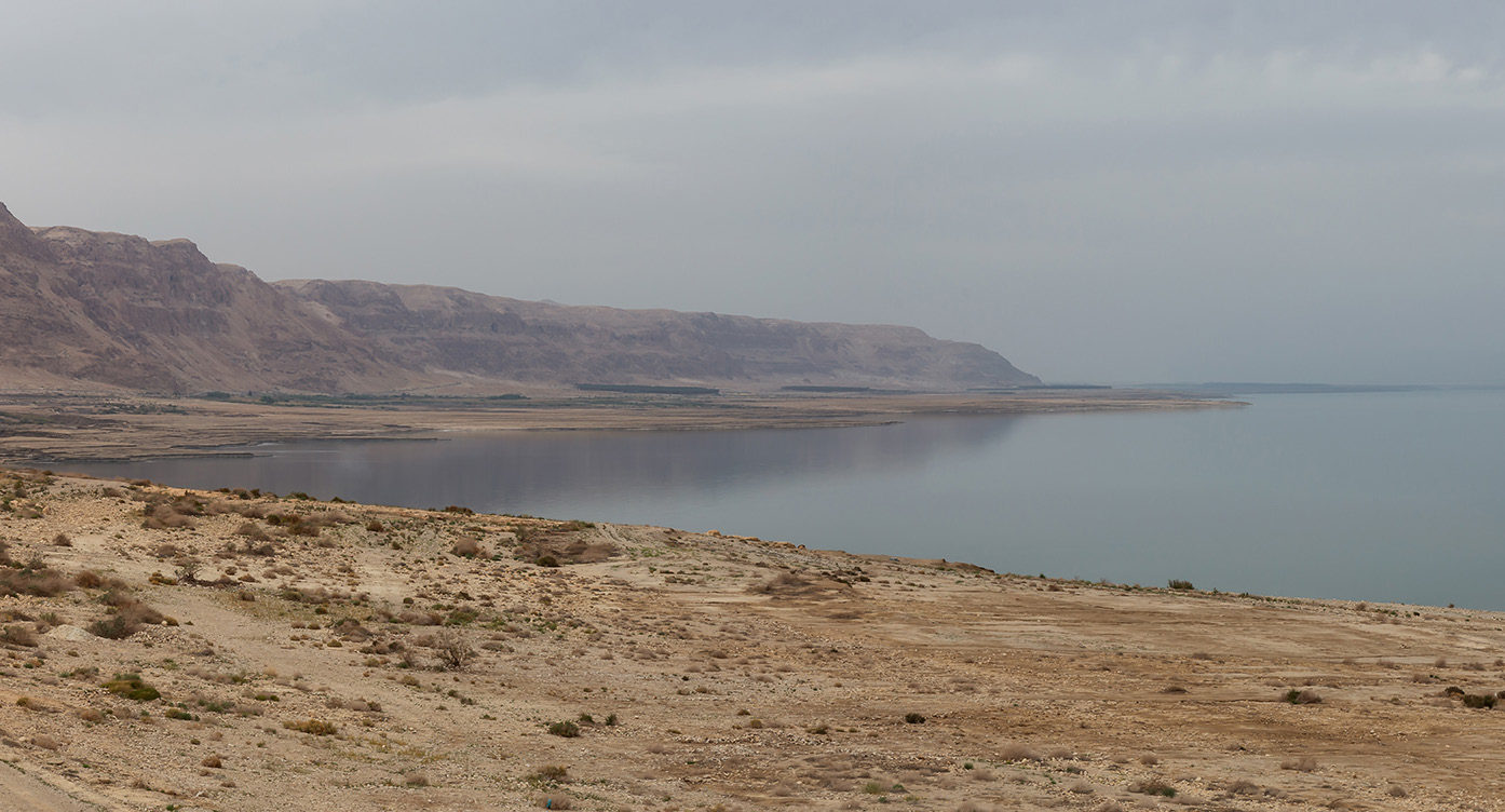 Technical Insight - Can mild steel survive where stainless fails? : SASSDA